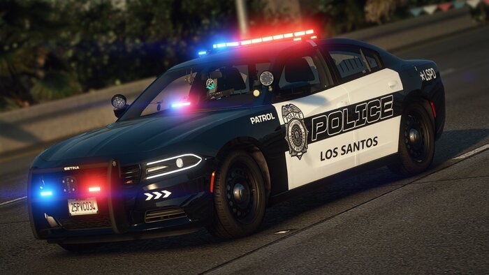 ZUSÄTZLICHE INFORMATION :: LSPD